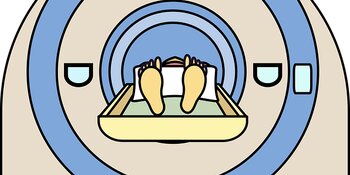 Faculty Research | Neuroscience Program | UIUC